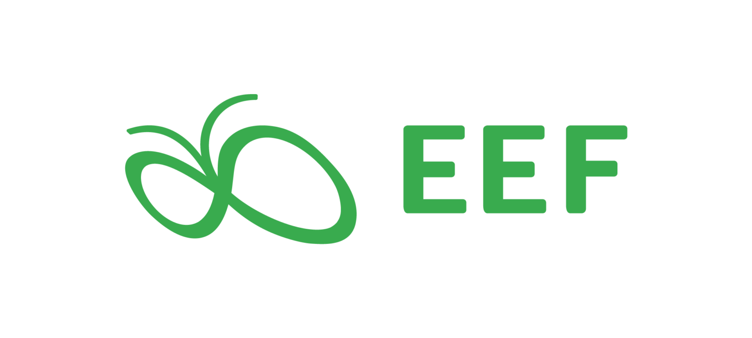 logo-eef | กสศ.