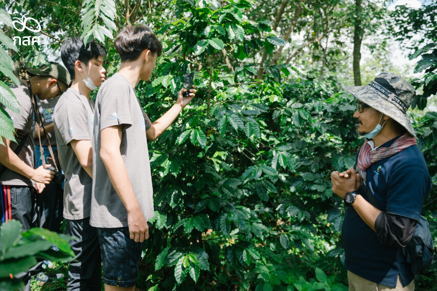 ชุดกล่องของขวัญ ‘DOYI’ รวมความภาคภูมิใจ จากชุมชนดอยช้าง | กสศ.