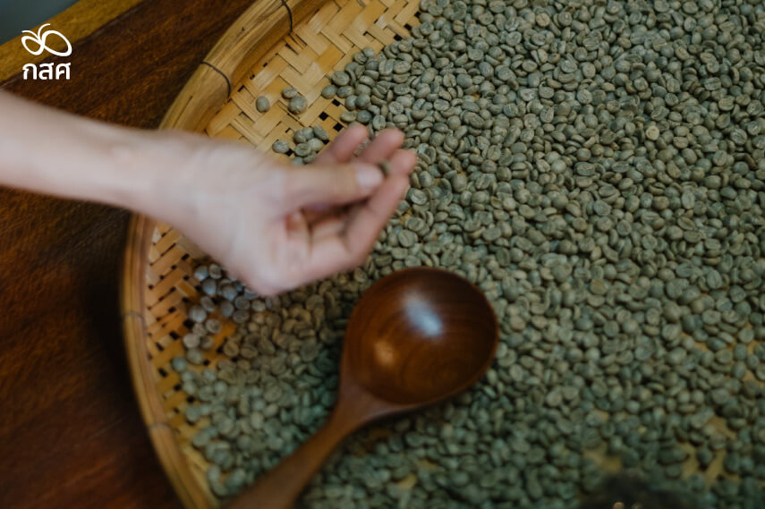 Photo5-Link+Thumbnail-ชุดกล่องของขวัญ-‘DOYI’-รวมความภาคภูมิใจ-จากชุมชน ...